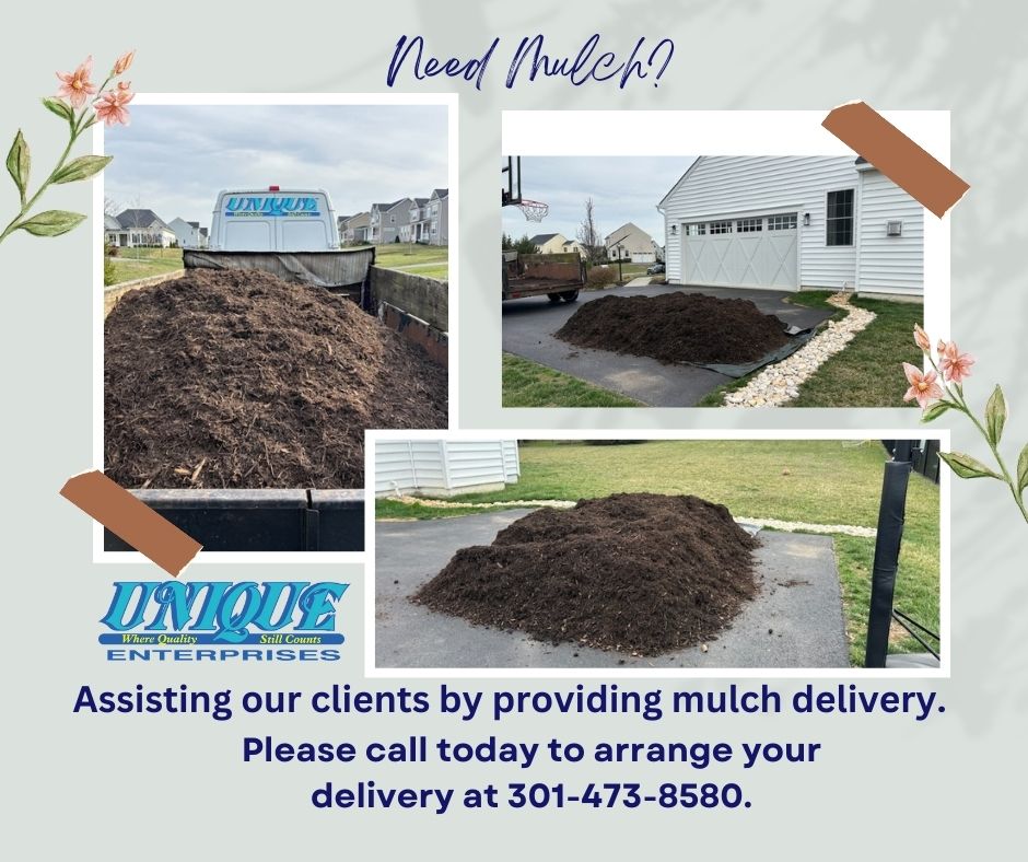 Unique Enterprises Inc. – Where Quality Still Counts